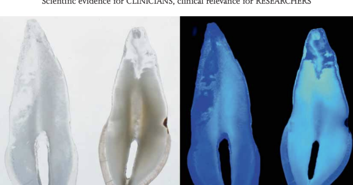 JERD Special Annual Issue: Advances in Esthetic Dentistry 2023